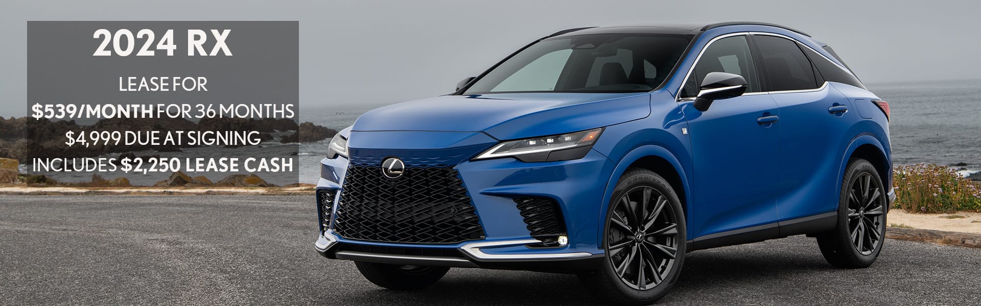 Rallye Lexus | Long Island Lexus Dealer in Glen Cove, NY